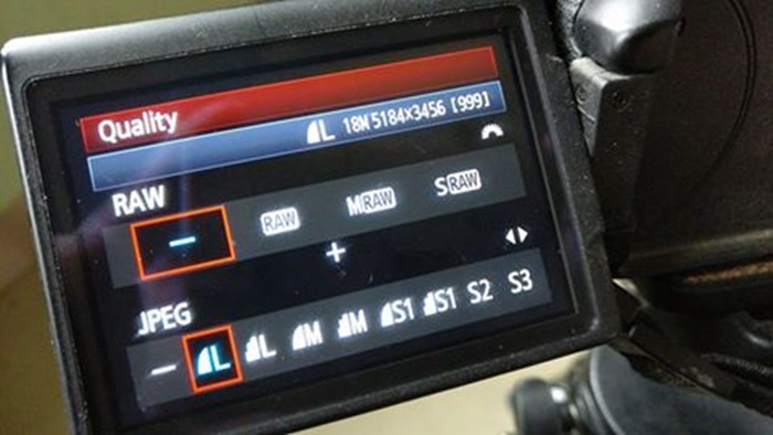 RAW vs JPEG: Which Image Format You Should Use - Fisher Virstal