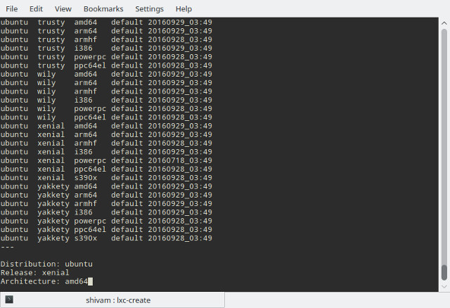 How to Multi Boot Distros using Linux Containers | Beebom