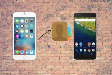 How to Transfer Contacts from iPhone to Android (Guide) | Beebom