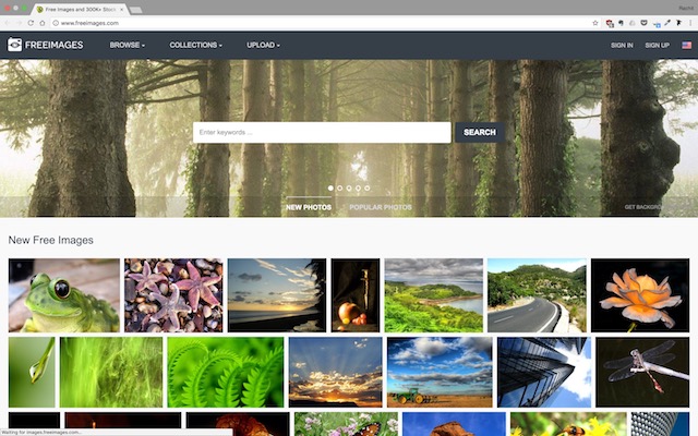Top 17 Free Shutterstock Alternatives for Stock-Photos in 2020 | Beebom