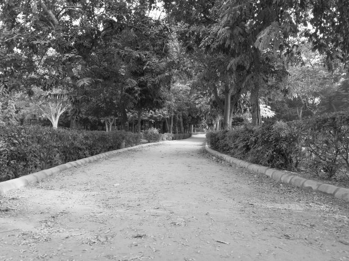 Nokia 8 Review: A Solid First Attempt at Android Flagships | Beebom