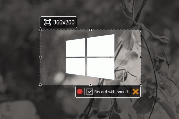 15 Best Screen Recording Software for Windows (2023) | Beebom