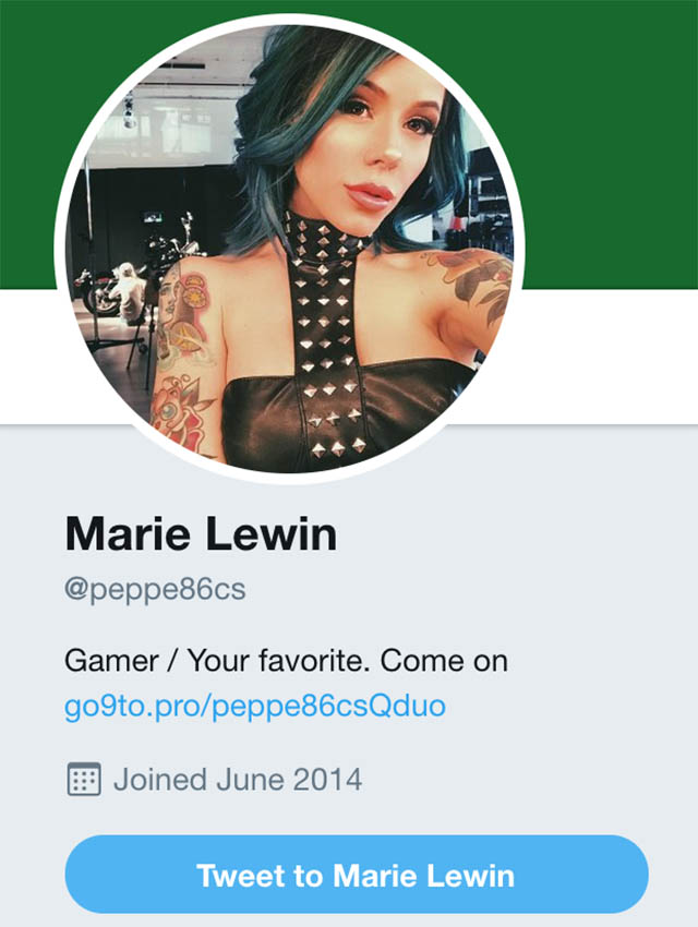 How Twitter Bots Are Taking Over Old Accounts to Promote Adult Dating ...