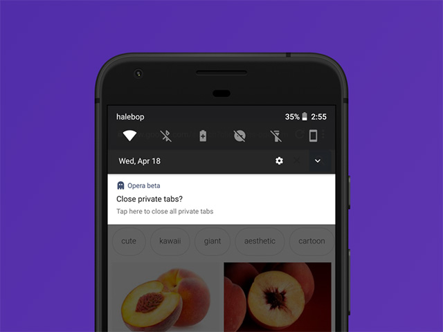 Latest Opera for Android Update Brings Themes, Night Mode & More | Beebom