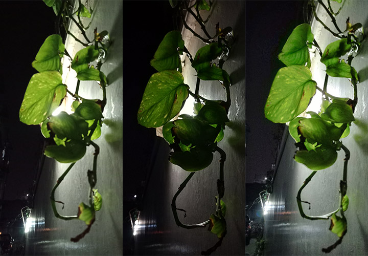 Realme 1 Camera Review: A Decent Camera for the Price | Beebom