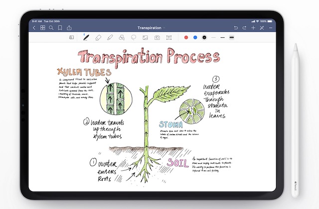 Top 12 OneNote Alternatives You Can Use (2020) | Beebom