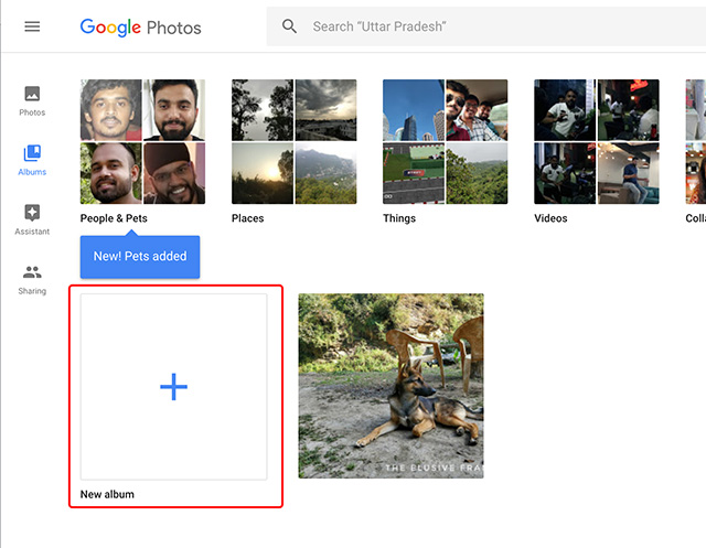 How to Create Live Albums in Google Photos on Android, iOS and Web