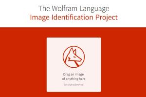 Best Reverse Image Search Engines, Apps, and Uses [2020] | Beebom