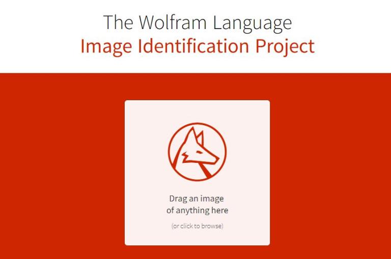 Best Reverse Image Search Engines, Apps, and Uses [2020] | Beebom