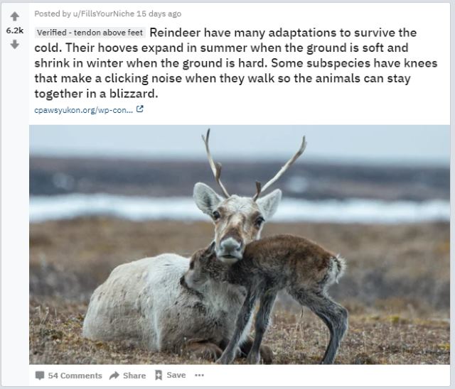 40 Best Subreddits You Should Follow in 2020 | Beebom