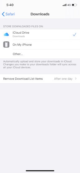 How to Manage Safari Downloads in iOS 13 and iPadOS 13 | Beebom