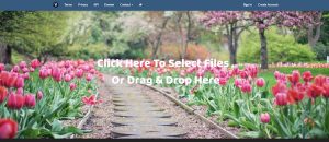 10 Best Photobucket Alternatives to Use in 2020 | Beebom