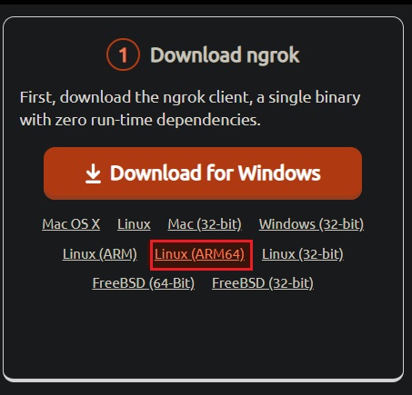 Explodingtnts Server Address