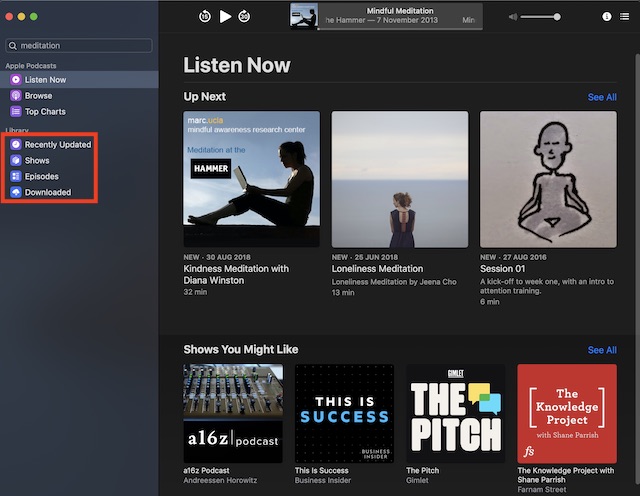 10 Best Tips and Tricks to Use Apple Podcasts App on Mac | Beebom