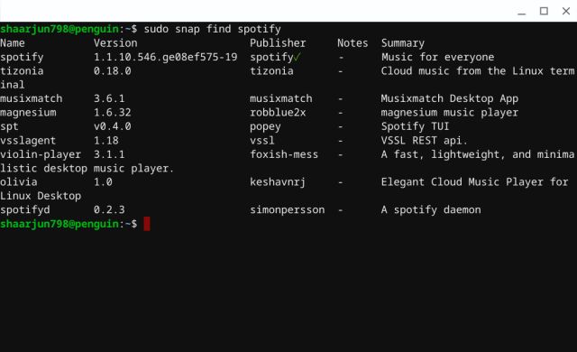 How to Install Flatpak and Snap Store in Linux on Chromebook | Beebom