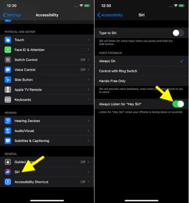 50 Cool Siri Tricks You Should Try in iOS and macOS (2020) | Beebom