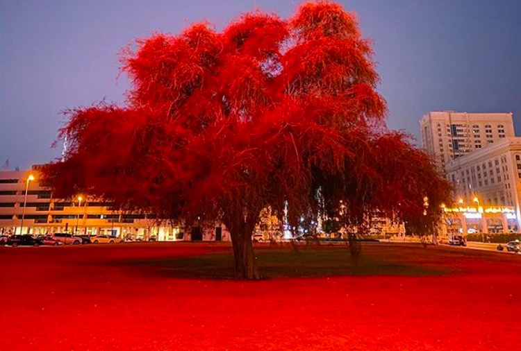 Mumbai Photographer Won Apple's Photgraphy Contest With This Picture