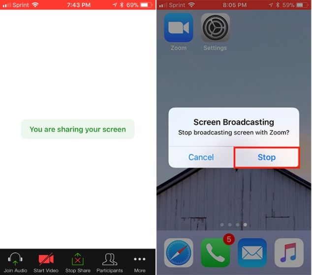 How to Share Your Screen on Zoom [Desktop and Mobile] | Beebom