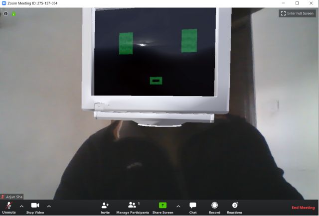 15 Best Zoom Tips and Tricks for Video Conferencing (2020) | Beebom