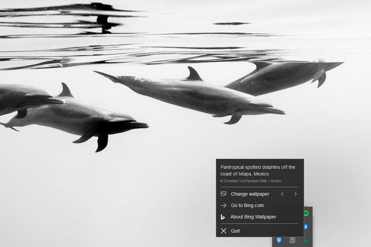 Bing Wallpaper Sets Bing's Daily Photos as Your Desktop Wallpaper | Beebom