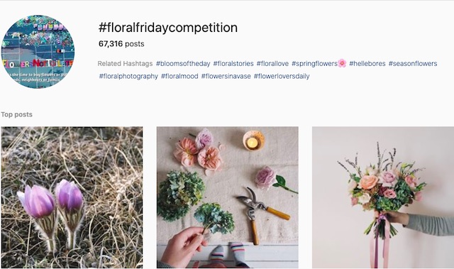 12 Best Instagram Challenges You Should Try in 2020 | Beebom