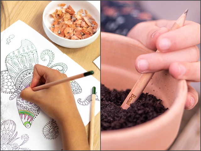 This Pencil Can Grow into a New Plant at the End of Its Life | Beebom