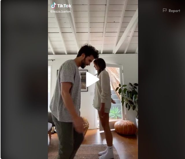 12 Best TikTok Challenges You Should Do in 2020 | Beebom