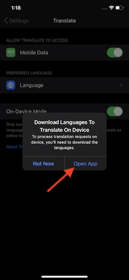 How to Use Apple Translate App in iOS 14 [Complete Guide] | Beebom