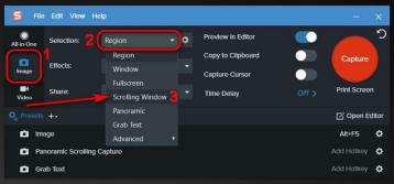 How to Take a Scrolling Screenshot on Windows 10 | Beebom