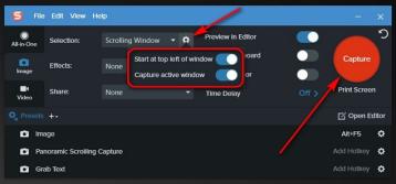 How to Take a Scrolling Screenshot on Windows 10 | Beebom