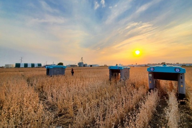 Google's New “Plant Buggy” Will Catalog Every Crop in a Field | Beebom