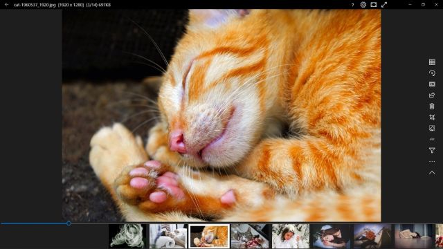12 Best Photo Viewers for Windows 10 [Free and Paid] | Beebom