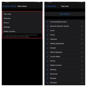 What is Switch Control and How to Use It on iPhone and iPad | Beebom