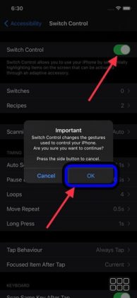 What is Switch Control and How to Use It on iPhone and iPad | Beebom