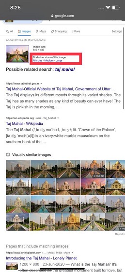 How to Reverse Image Search on an iPhone in 2021 (Guide) | Beebom