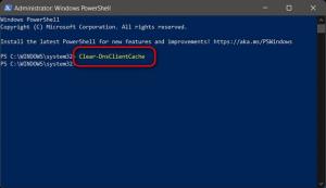 How to Flush DNS Cache in Windows 11 [4 Easy Methods] | Beebom
