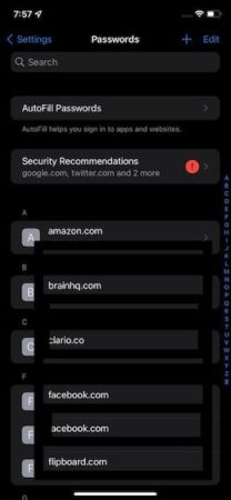 How to Use iOS 15 Built-in Password Authenticator on iPhone and iPad ...