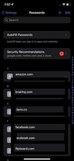 How to Use iOS 15 Built-in Password Authenticator on iPhone and iPad ...