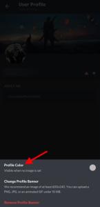 How to Customize Your Discord Profile on PC and Mobile | Beebom