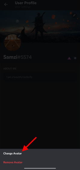 How to Customize Your Discord Profile on PC and Mobile | Beebom