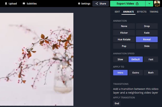 Kapwing Video Editor: An Easy-to-Use Online Video Editing Tool | Beebom