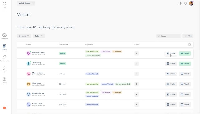 Lucky Orange Makes It Easy to Analyse Website Traffic and Increase ...