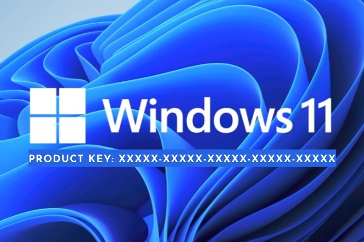 How to Find Your Windows 11 Product Key [5 Ways Explained] | Beebom