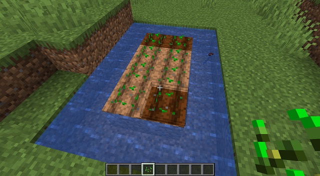How to Plant Seeds and Grow Crops in Minecraft (2022 Guide) | Beebom