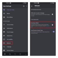 How to Enable or Disable Developer Mode on Discord (2022) | Beebom
