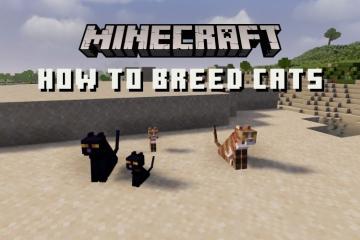 How to Breed Cats in Minecraft (2022) | Beebom