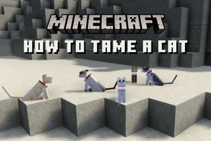 How to Tame a Cat in Minecraft Bedrock and Java Edition (2022) | Beebom