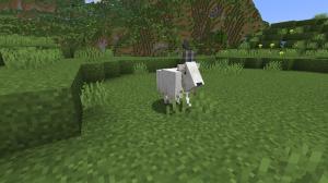 Minecraft Goats: Everything You Need to Know (2022) | Beebom