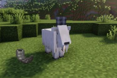 Minecraft Goats: Everything You Need to Know (2022) | Beebom