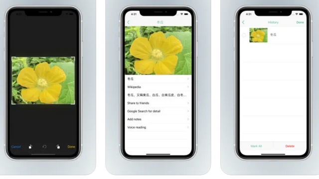 10 Best Plant Identifier Apps for Android and iPhone (Free & Paid) | Beebom